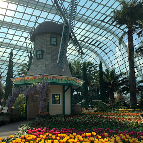 European Fair 2019 - Gardens by the Bay
